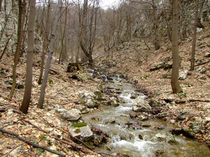 Prvi pogled na Lisac