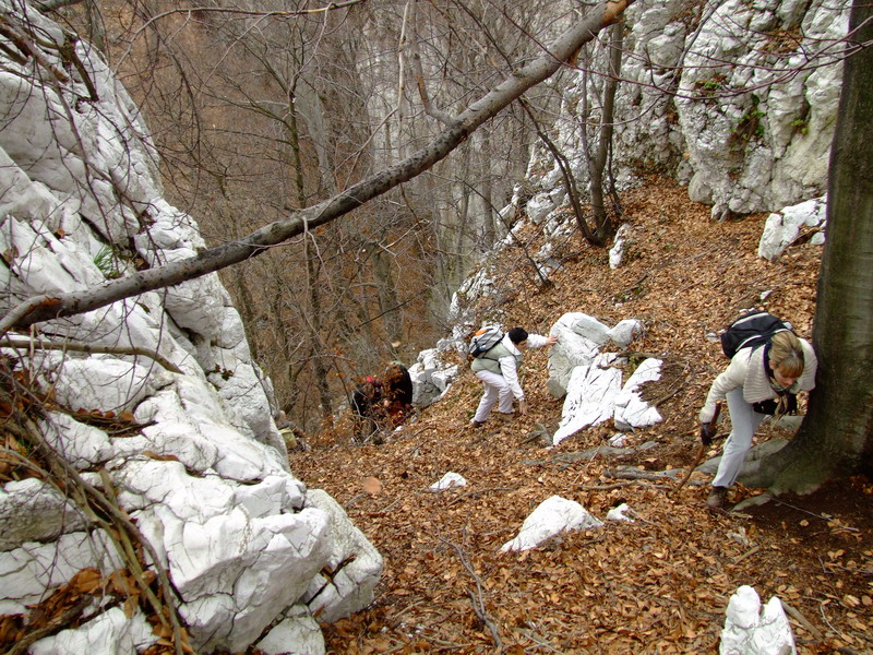 Prvi pogled na Lisac