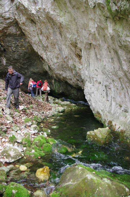 Prvi pogled na Lisac